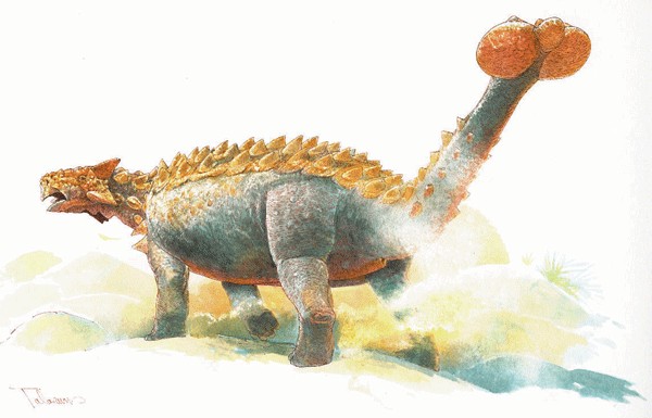 Talarurus Pictures Facts The Dinosaur Database Talarurus Pictures Facts The Dinosaur Database