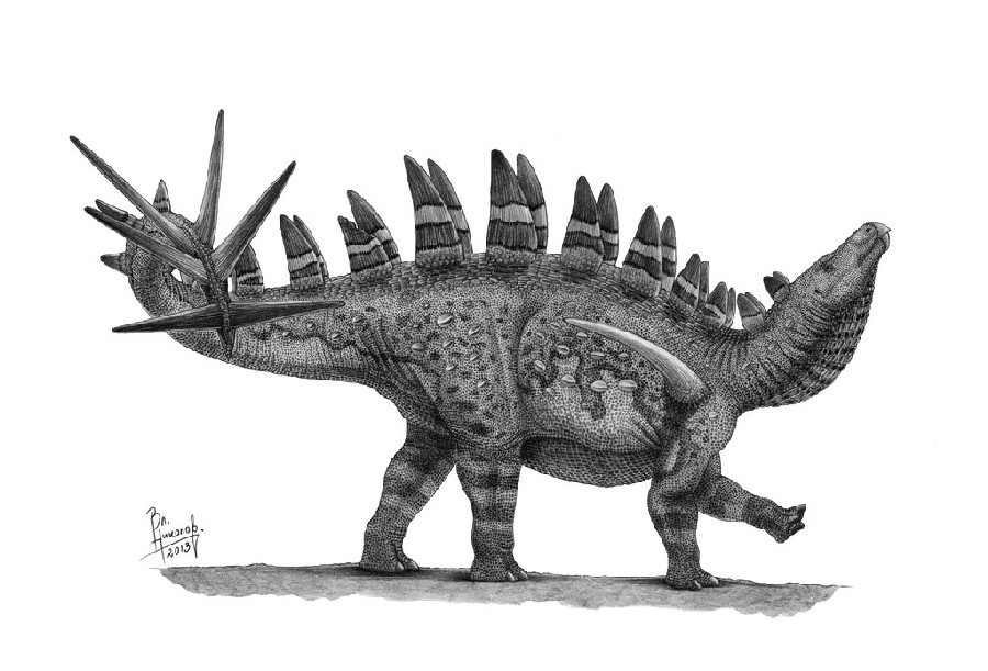 Chungkingosaurus Pictures Facts The Dinosaur Database Chungkingosaurus Pictures Facts The Dinosaur Database