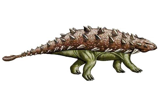 Achillobator Talarurus Por Paleoguy Achillobator Talarurus Por Paleoguy