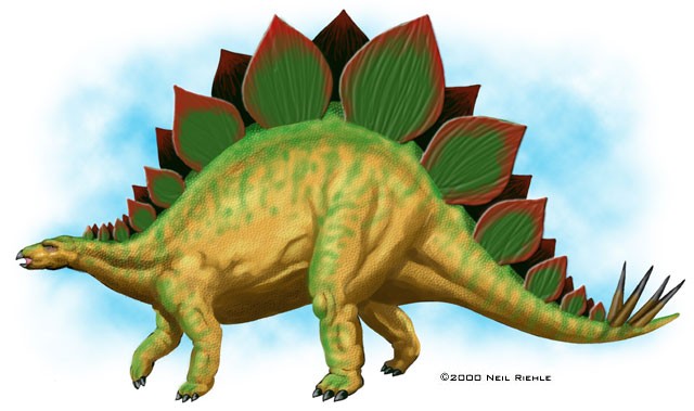Dinosaurs Stegosaurus