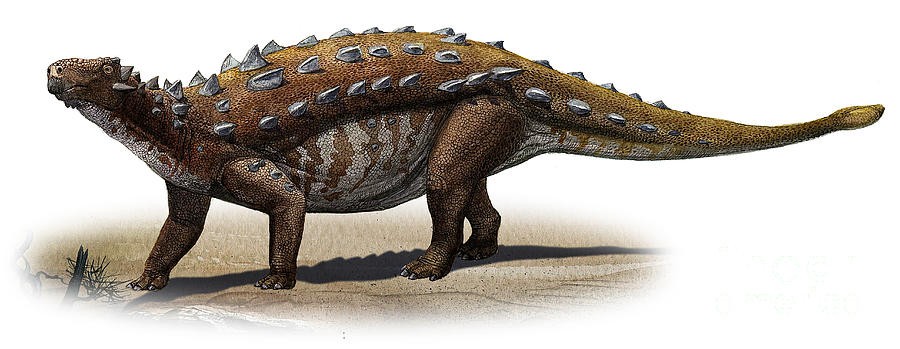 Talarurus Pictures Facts The Dinosaur Database Talarurus Pictures Facts The Dinosaur Database