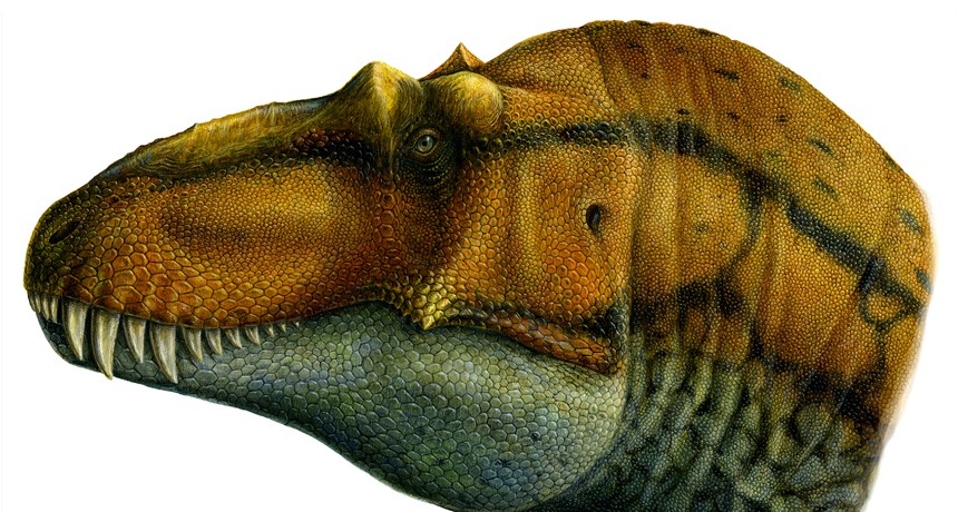 Lythronax Pictures & Facts - The Dinosaur Database