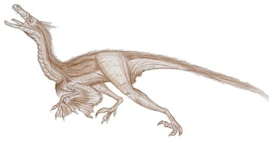 Santanaraptor Pictures & Facts - The Dinosaur Database