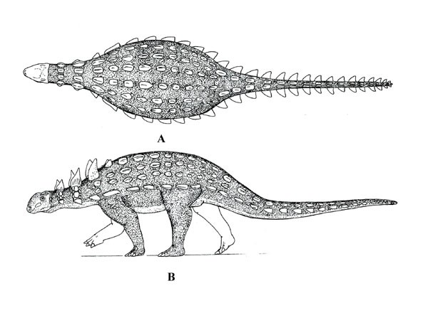 Struthiosaurus Pictures & Facts - The Dinosaur Database
