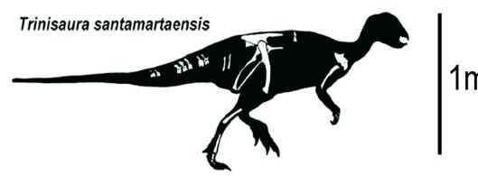 Trinisaura Pictures & Facts - The Dinosaur Database