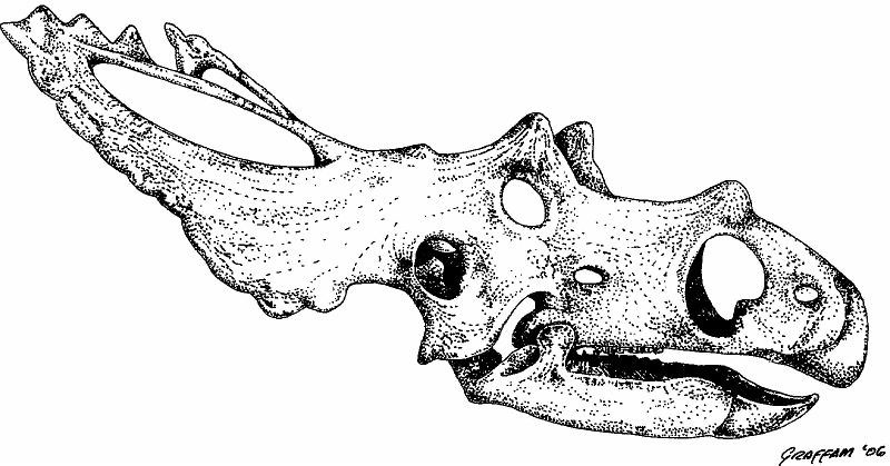 Utahceratops Pictures & Facts - The Dinosaur Database